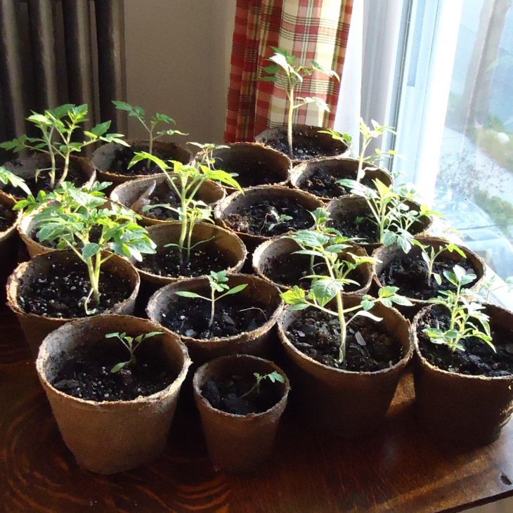 avril 2017 – Framablog