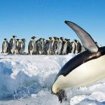 framapic – Framablog